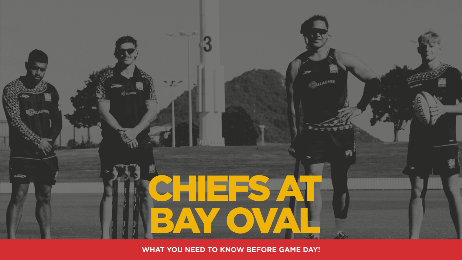Latest News: Chiefs Rugby Updates & Announcements